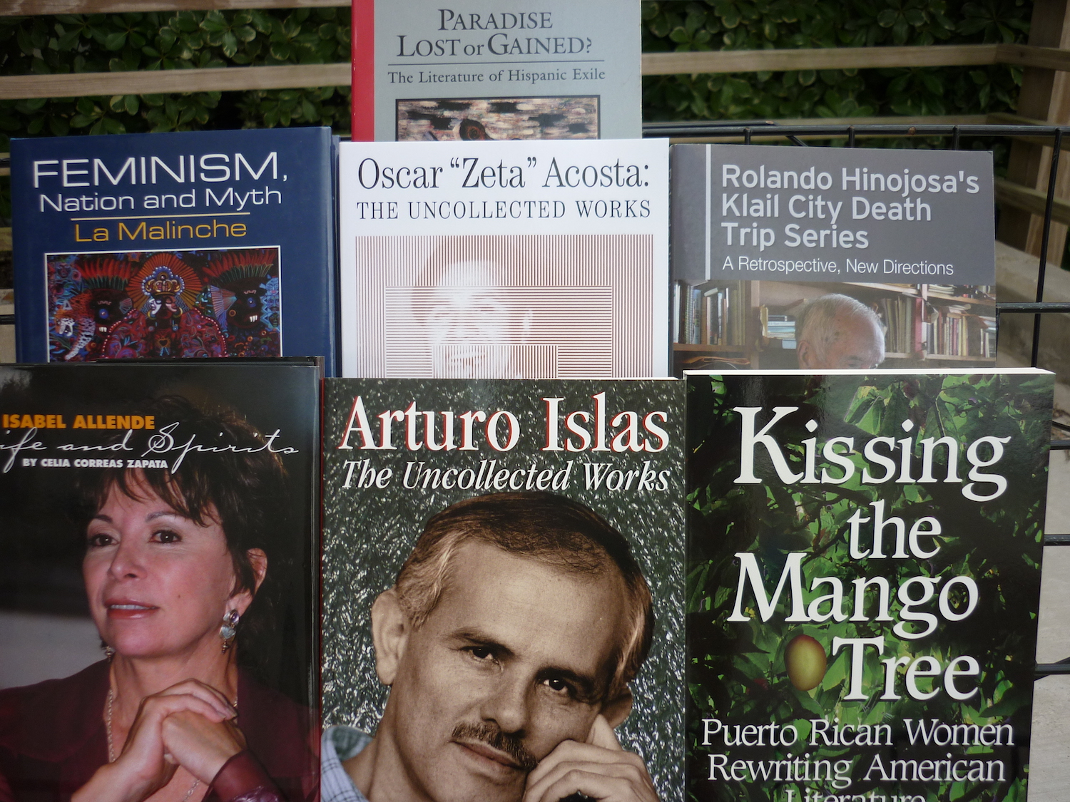 Museum Survey - Arte Publico Press